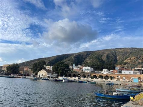 🇹🇳 Yosra Habouria