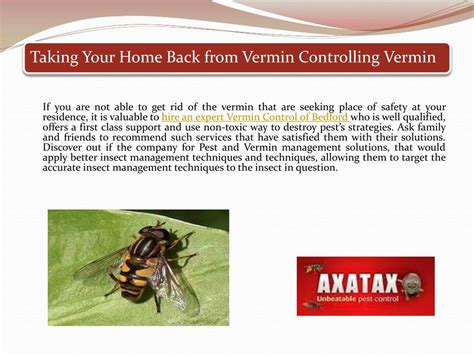 Ppt Taking Your Home Back From Vermin Controlling Vermin Powerpoint