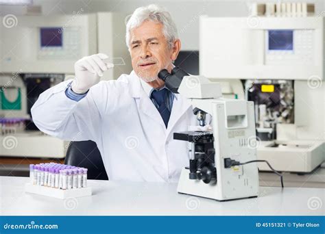 Scientist Analyzing Microscope Slide In Lab Stock Image Image Of Holding Laboratory 45151321
