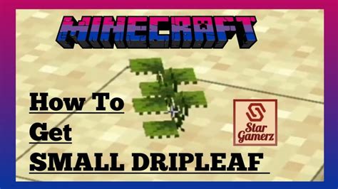 How Do You Get Dripleaf In Minecraft Bedrock At Erica Valentin Blog