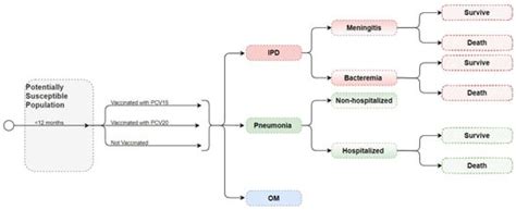 The Health And Economic Effects Of Pcv15 And Pcv20 During The First