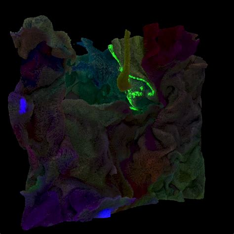 Voxel Flow R Proceduralgeneration