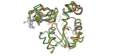 Pdbe Knowledge Base
