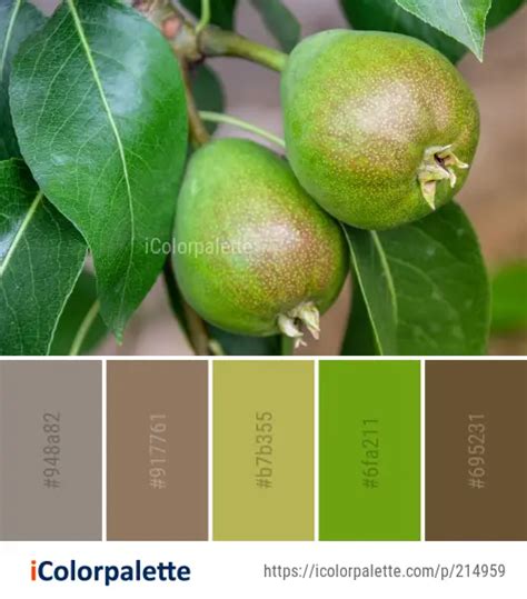 Color Palette Ideas From Fruit Tree Pear Image Icolorpalette