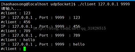 【网络】udp服务器的实现 udp如何server一对多 csdn博客