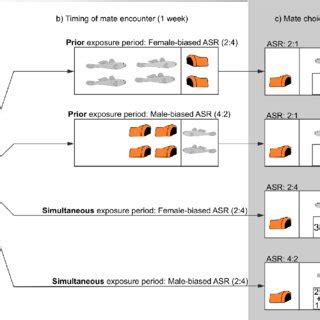 Experimental Set Up Showing The Factorial Design And The Download Scientific Diagram