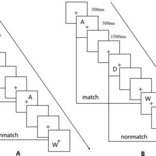 Verbal And Spatial Working Memory Tasks Accuracy Among Groups VWM Download Scientific