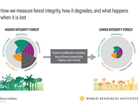 Importance Of Preserving Forest Integrity Global Forest Watch Blog