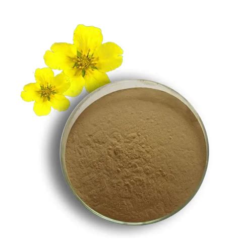 Tormentil Extract Manufacturers Tormentil Extract Suppliers And Exporters