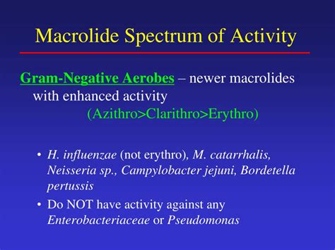 Ppt Common Bacteria By Site Of Infection Powerpoint Presentation Free Download Id972337 Ppt Common Bacteria By Site Of Infection Powerpoint Presentation Free Download Id972337
