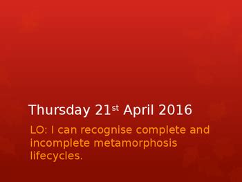 Complete And Incomplete Metamorphosis By Miss Rogers Classroom TpT