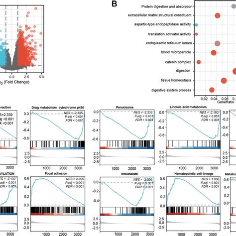 The Genes And Related Signal Pathways Differentially Expressed Between