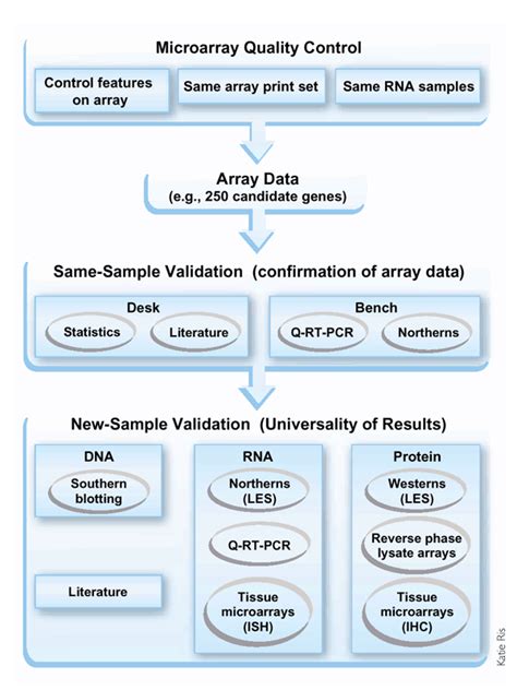 Post Analysis Follow Up And Validation Of Microarray Experiments Nature Genetics