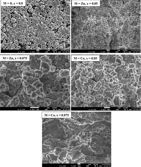 Fesem Micrographs Of Fractured Surfaces Of M 0 X 00 M Zn X Download Scientific