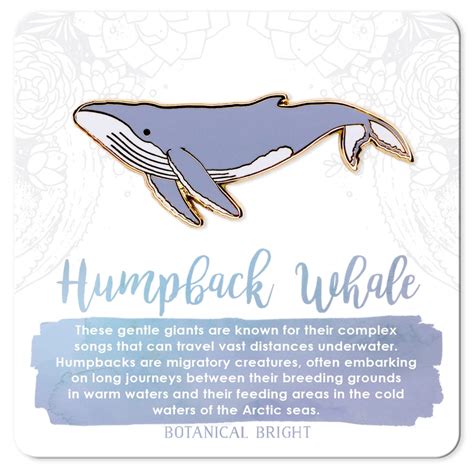 Humpback Whale Enamel Pin Weeds