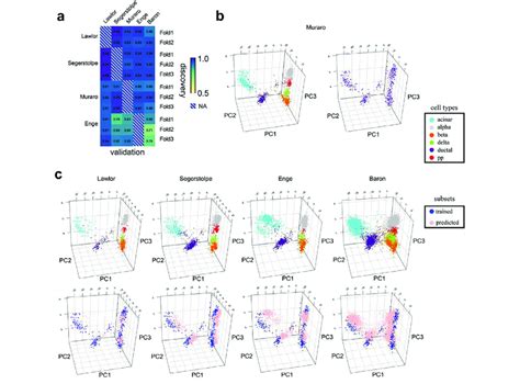 Classification Performance Across Pancreatic Datasets A Heatmap Of