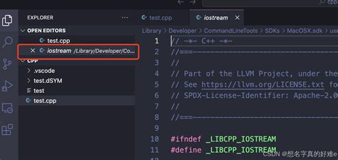 【mac os】vscode 配置 c 万能头文件 bits stdc h vscode万能头文件 csdn博客