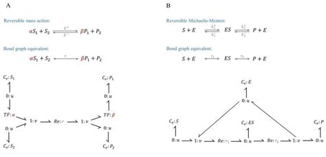 bond graph representation of reversible reactions a reversible mass
