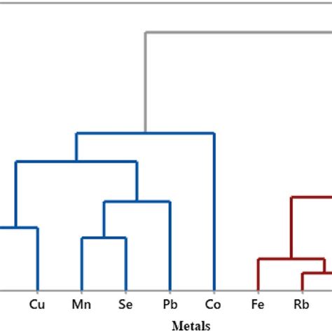 Hierarchical Cluster Dendrogram Using The Ward Linkage Method Among