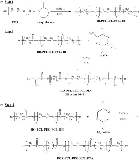 A Synthesis Scheme For Pb A And Pb B Pla Pcl Peg Pcl Pla And B Download Scientific