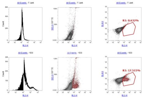 Custom Car T Cell Development And Validation Bicell Scientific®