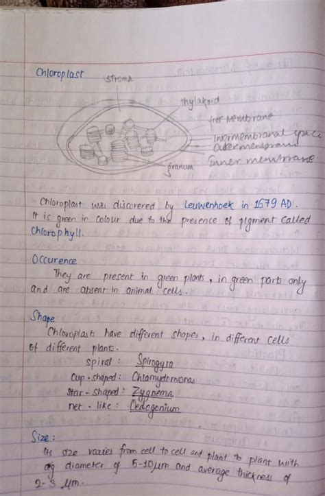 Plastids Class Eleven Biology