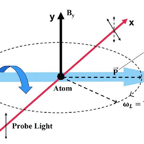 Schematic Diagram Of The Working Principle Of The Alkali Metal Atomic