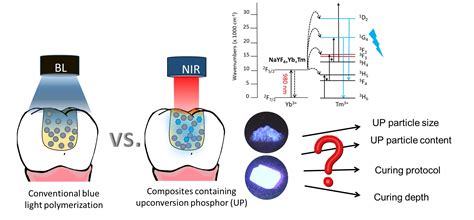 Degree Of Conversion And Residual Monomer Elution Of 52 Off