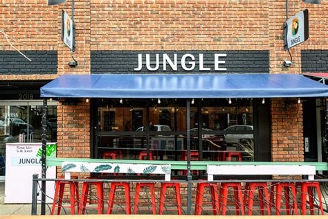 Jungle Downtown Boulder Co