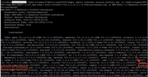 Lorenzo Moglie Notes Nsx T Host Preparation Upgrade Vibs