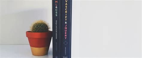 Web Design Best Practices Fleximize