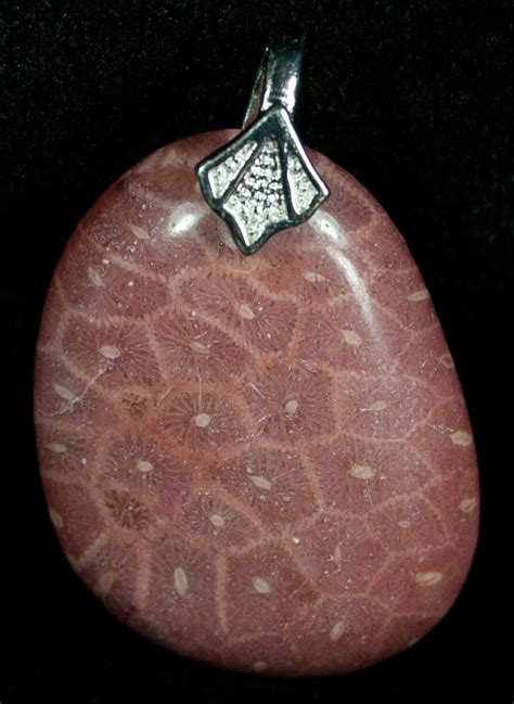 Red Fossil Coral Pendant 20 Million Years Old 5999 For Sale