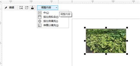 Cdr编辑位图时无法退出 Cdr原位替换图片怎么替换 Coreldraw中文网站
