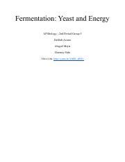 Fermentation Lab Write Up Pdf Fermentation Yeast And Energy AP Biology Nd Period Group