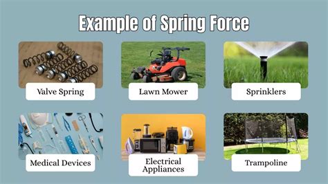 10 Spring Force Examples In Daily Life Right Examples