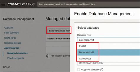 oracle full and basic database management in oci julian dontcheff s
