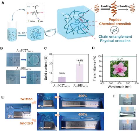 A Synthesis Of Peptide‐crosslinked Highly Entangled Hydrogels B Download Scientific Diagram