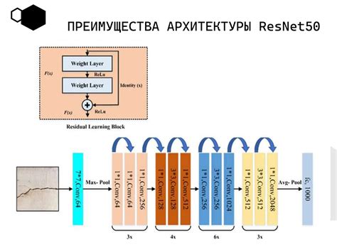 pneumonia classification program development using neural networks based on x ray images pptx