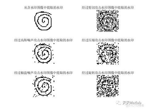 【图像隐藏】基于混沌的dct变换域图像数字水印嵌入提取攻击附matlab代码 csdn博客