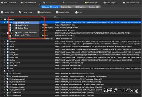 【sql 数据分析】如何快速上手sqlite Sqlitebrowser？ 知乎