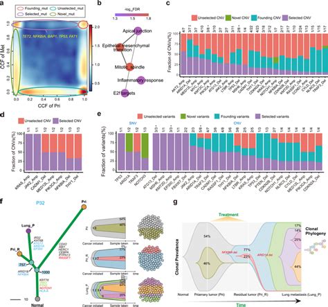 Driver Events During Npc Metastasis A Scatter Plot Indicating Different