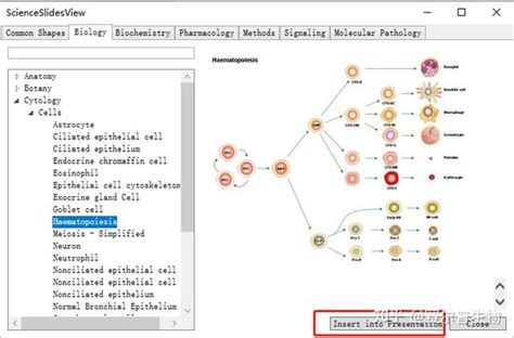 强推scienceslides！好用到离谱的科研插画神器！ 知乎