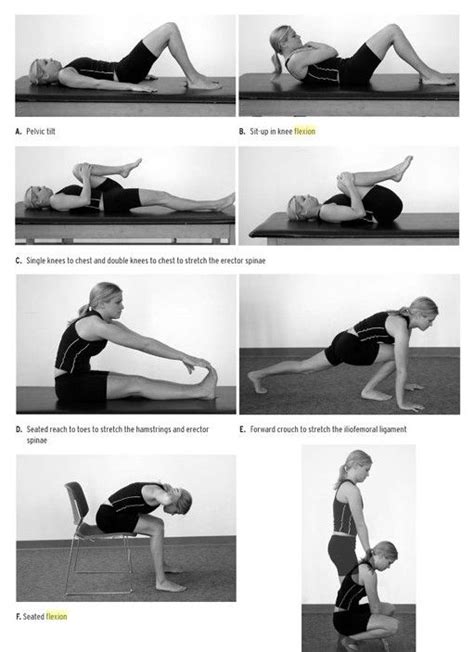 Williams Flexion Exercises Focus On Placing The Lumbar Spine In A