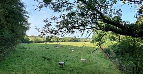 An Apex Vanity Url For Oracle Managed Ords For Private Endpoint Adb On Oci