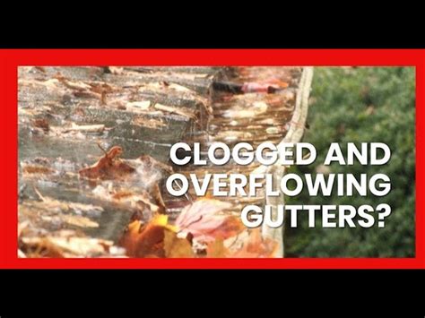 CLOGGED OVERFLOWING GUTTERS