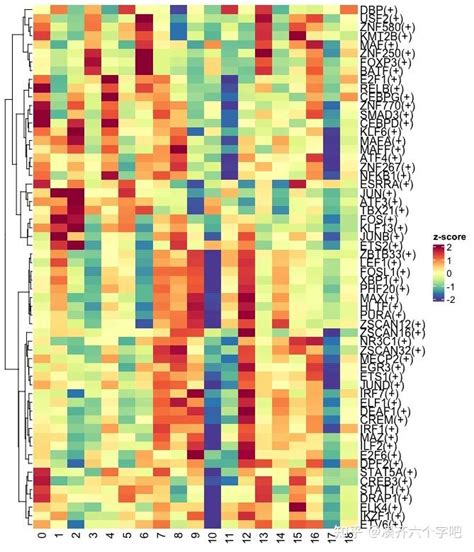 单细胞实战之亚细胞分群之cd4 T细胞分群——从入门到进阶 中级篇2） 知乎