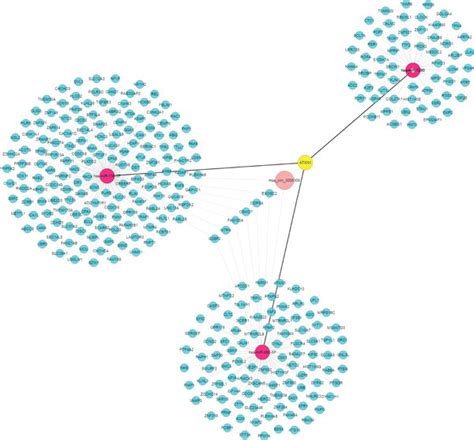 A Prediction Of Hsa Circ 0008309 And Mirnas Interactions B Download Scientific Diagram
