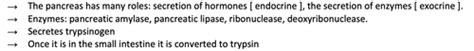 Protein Digestion Flashcards Quizlet