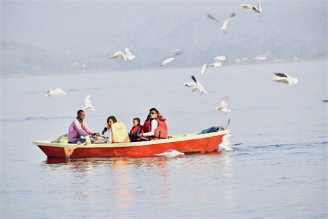 Unique Boating With Seagulls Shantanu Dutta Flickr