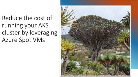 Reduce The Cost Of Running Aks Cluster By Leveraging Azure Spot Vms 70 And More By Martin